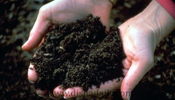 పంటకు ఎరువుగా మానవ మలమూత్రాలు | how Can human faeces be used to produce ...