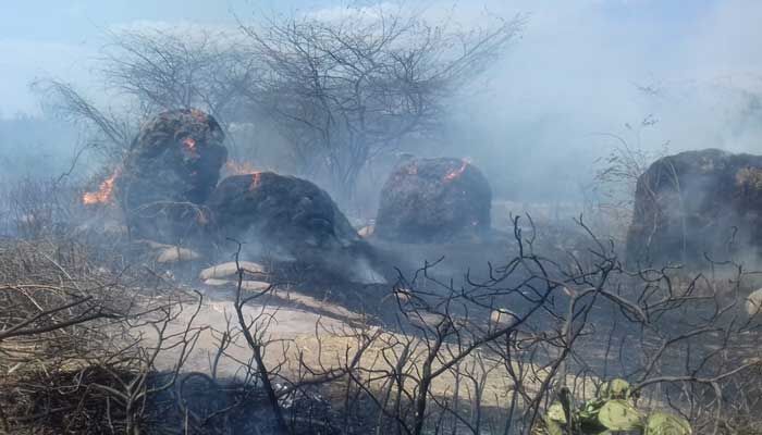 Kurnool: చిప్పగిరిలో ఉన్నట్టుండి మూడు గడ్డి వాముల దగ్ధం | three straw ...