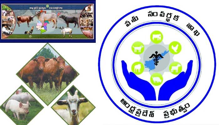 AP: ఏపీ పశుసంవర్థక శాఖకు అవార్డుల పంట | AP Animal Husbandry Department ...