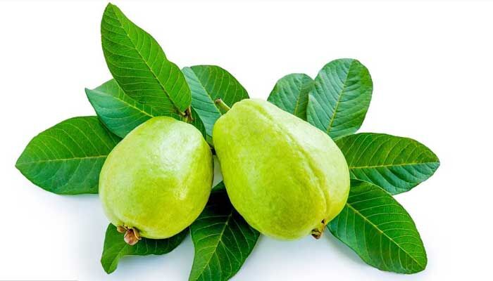 రోజుకు ఒక్క జామకాయ తింటే ఎన్ని అద్భుతాలో తెలుసా? | Health Benefits of ...