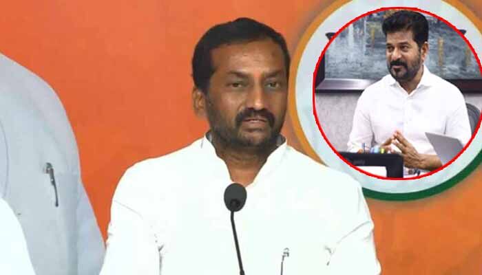 MP Raghunandan Rao: సీఎం రేవంత్ రెడ్డి జోక్యం చేసుకోండి.. ఎంపీ రఘునందన్ ...