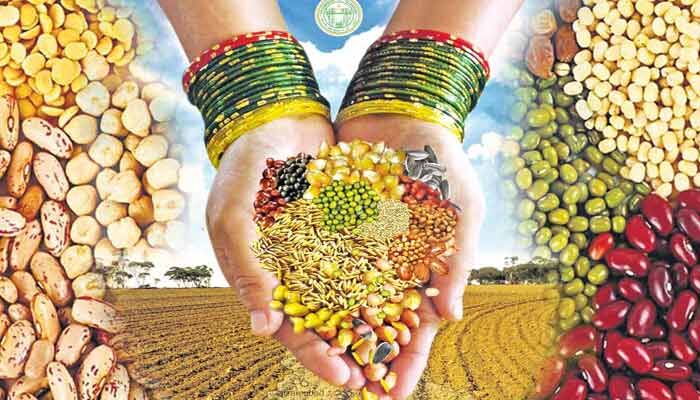 నేటి నుంచి రైతు వేదికల్లో విత్తన మేళా