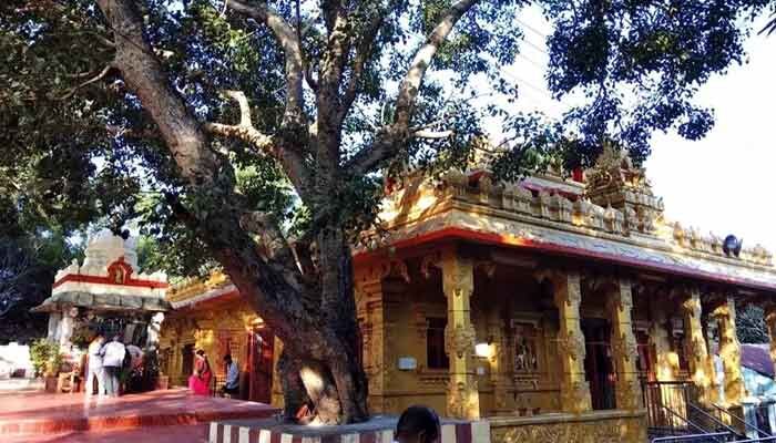 హాథీరాం బావాజీ మఠాన్ని రక్షించండి! | Save Hathiram Bawaji Math!