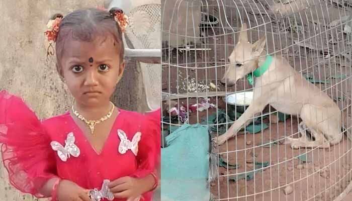 ఇంకా దొరకని చిన్నారి ఆచూకీ.. ఇంతలో అనూహ్యంగా కుక్క మృతి